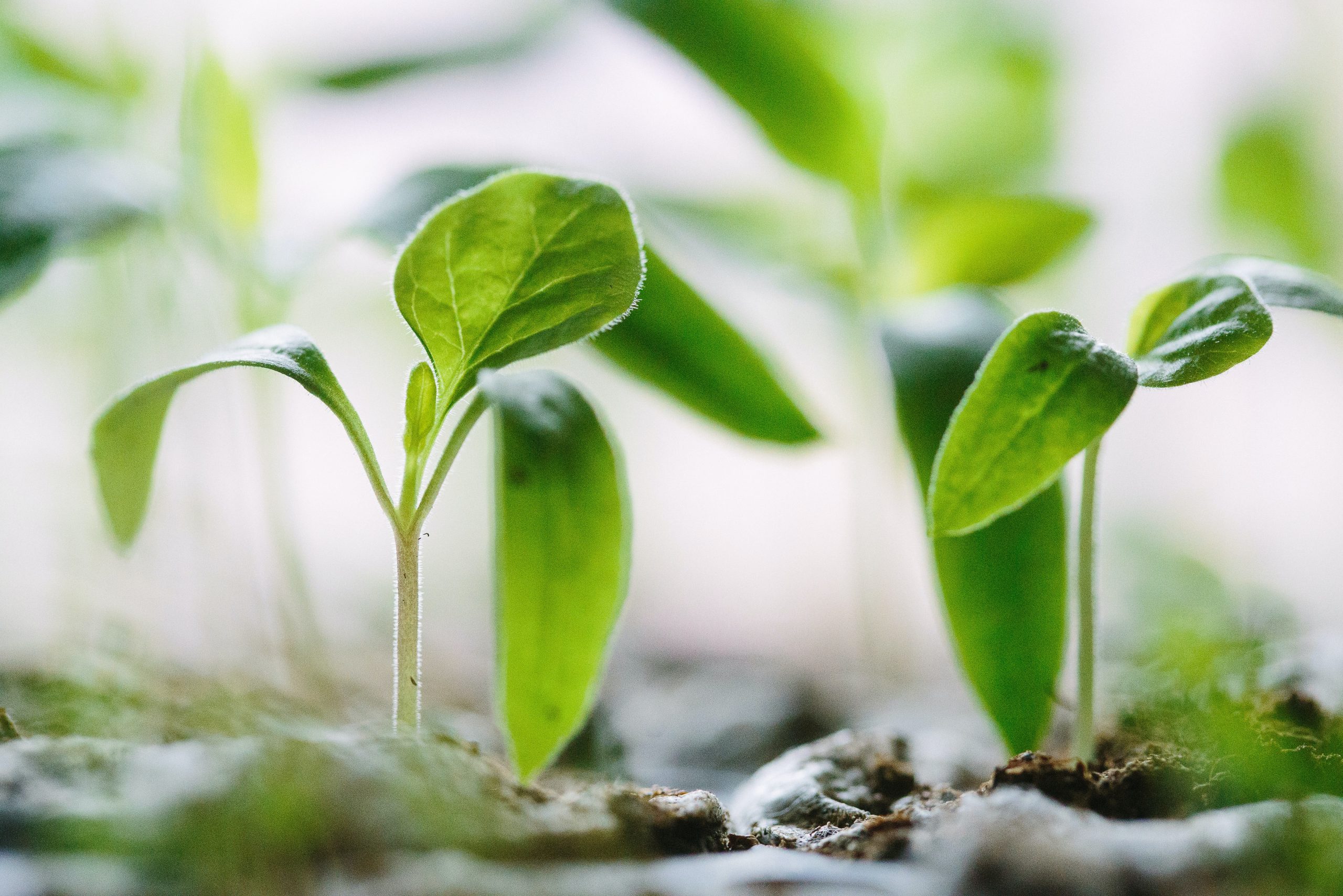 Τι είναι το Growth Marketing και πως μπορώ να ξεκινήσω;